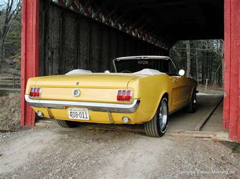 Virginia Classic Mustang Blog