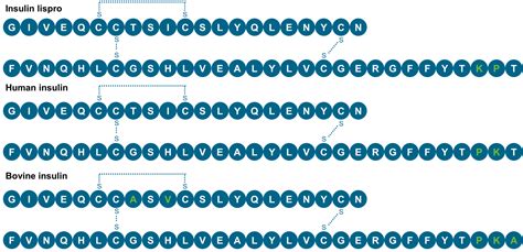 Sensitive Quantification Of Insulin Lispro Using Accurate Mass Spectrometry