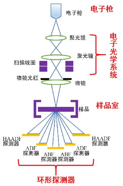 【面试必备】一文了解扫描透射电子显微镜（stem）知识重点 哔哩哔哩