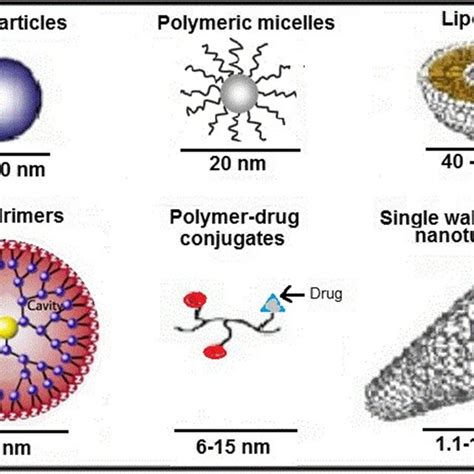 Nanocarriers Of Several Types For Drug Delivery A Polymeric Download Scientific Diagram
