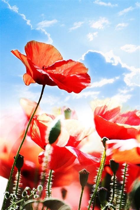 Integrating Xml With Java Le Thanh Tungs Blog