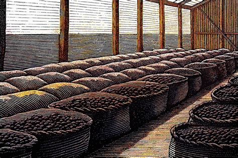 Batch Normalization Avrttblog