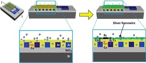 Micromachines Free Full Text A Cmos Mems Humidity Sensor Enhanced By A Capacitive Coupling