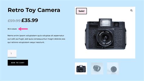 The Divi Woo Product Stock Module Elegant Themes Documentation