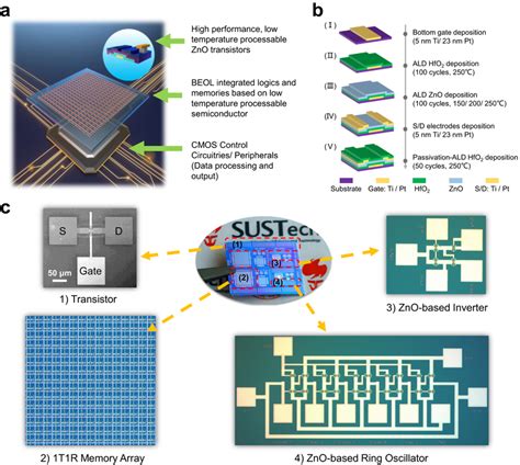 Zno As Cmos Beol Compatible Transistor Material A Schematic Download Scientific Diagram