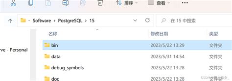 解决pgadmin4无法启动的问题 Win11pgadmin4启动不起来 Csdn博客