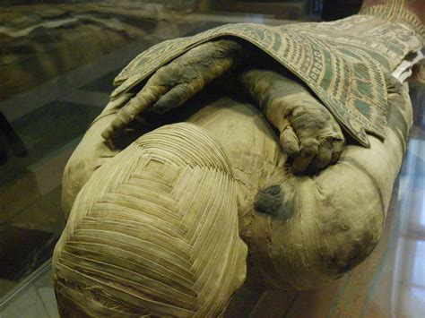Egyptian Mummy Louvre Celinagr Galleries Digital Photography Review Digital Photography Review