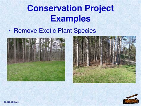 Ppt Conservation Project Planning Powerpoint Presentation Free