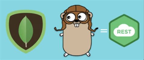 Connect To Mongodb In Go Hi Today I Show You How To Connect To By Danylo Bolshakov Medium