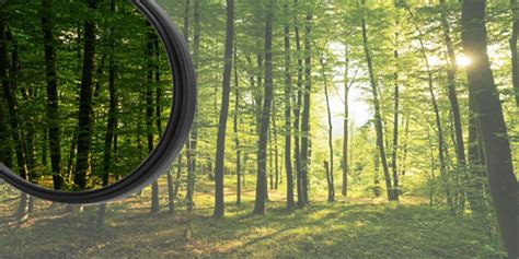 Implement Image Color Filters Using Keras Conv2d Layers By Anton