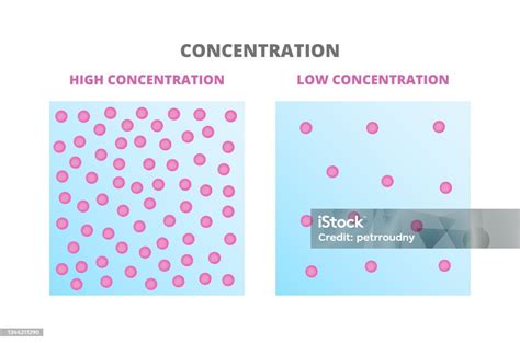 Vector Scientific Illustration Or Scheme Of Concentration Isolated On