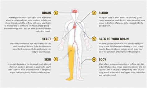 Energy Drinks Effects