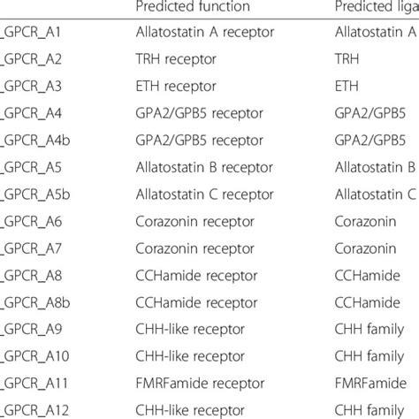 Phylogenetic Tree Of Class C Gpcrs Presented As Circular Cladogram Two Phylogenetic Tree Of Class C Gpcrs Presented As Circular Cladogram Two