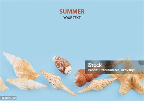 조개껍데기와 불가사리가 파란 배경에 있다 텍스트를 위한 장소가 있는 여름 배경입니다 바다 테마입니다 가리비에 대한 스톡 사진 및