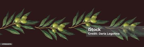 녹색 올리브 가지 완벽 한 테두리 수채화 식물 녹색 패턴 검은 배경에 벽지 올리브 오일 포장지 디자인 꽃 인쇄 이탈리아 식물