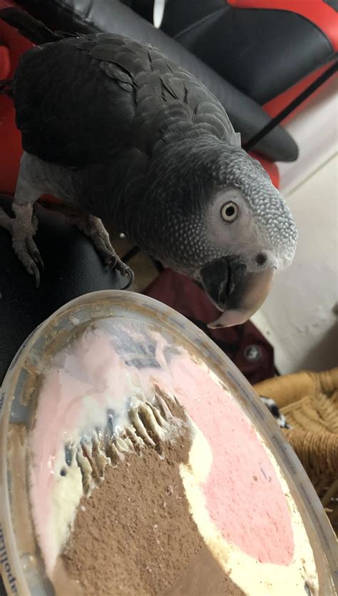 May I Have Some Ice Cream Mom Scrolller