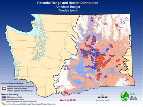 American Badger Range Map