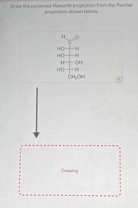 Solved Draw the pyranose Haworth projection from the | Chegg.com
