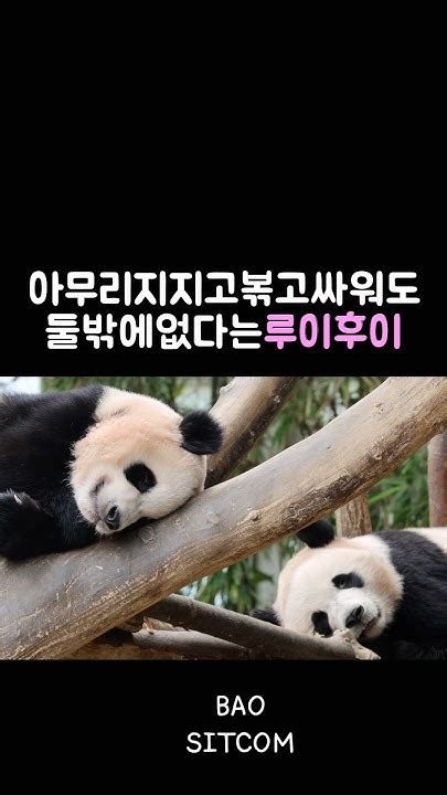 어디를가더라도 함께하기를🙏 Youtube