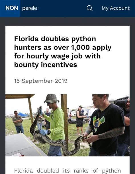 Florida Doubles Python Hunters As Over 1000 Apply For Hourly Wage Job