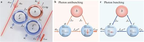 Loss Induced Quantum Nonreciprocity Research Communities By Springer
