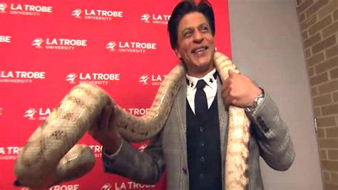 Shah Rukh Khan Welcomed With A ‘python Around His Neck At The La Trobe