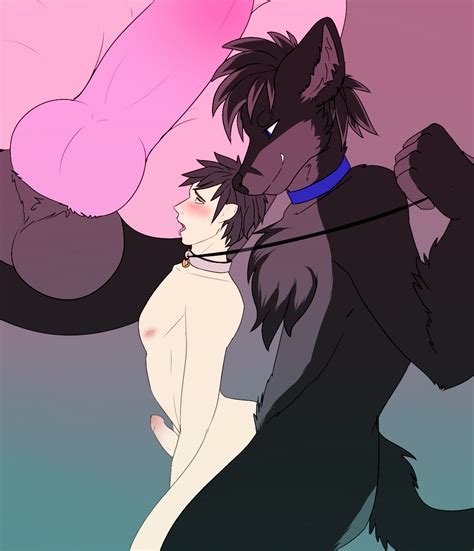 Rule 34 Anthro On Human Anthroxhuman Collar Furry Gay Gay Anal Gay