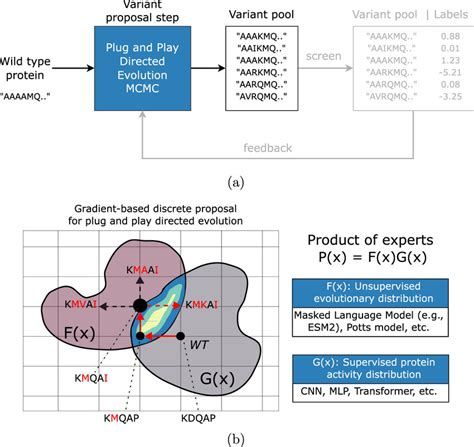 A Illustration Of The Machine Learning Based Directed Evolution
