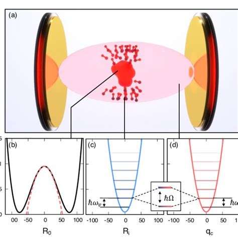 A Schematic Representation Of The Reactive Molecule Coupled To A Set Download Scientific