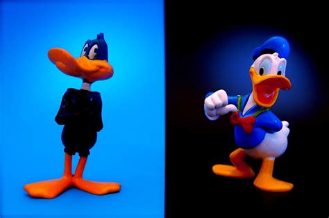 Daffy Duck Vs Donald Duck 173365 Photos Jd Hancock