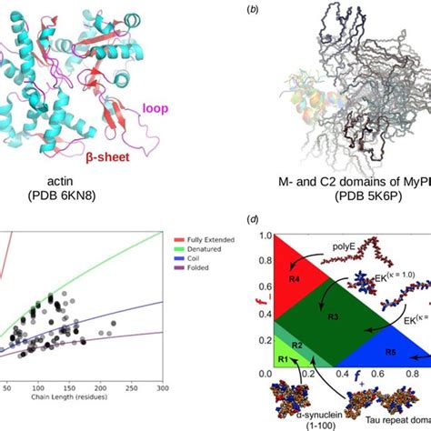 A Major Secondary Structural Elements Present In Folded Proteins Like