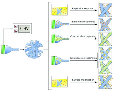 Fabrication Techniques Of Biomolecule Loaded Electrospun Fibers Download Scientific Diagram