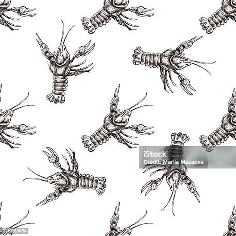 손으로 그린 빈티지 완벽 한 패턴 가재 갈색 잉크 조각 스타일 상세한 해산물 스케치 일러스트 갈고리 발톱에 대한 스톡 벡터 아트 및 기타 이미지 Istock