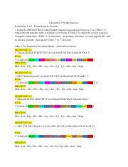 Laboratory Prelab Exercise Pdf Laboratory Prelab Exercise Laboratory A From Genes