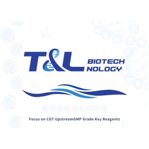 Amms® Msc Cell Culture Kit 2 0