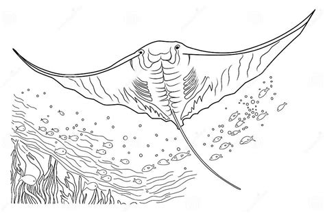 Pagină Colorantă Pentru Pisica De Mare Adâncime Ilustrare Grafică