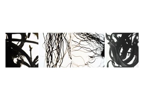 Wet Weeds Jeremy Kilburn