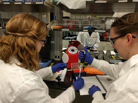 Digitizing Dna Real Reasons To Worry About Cyberbiosecurity Genetic Literacy Project