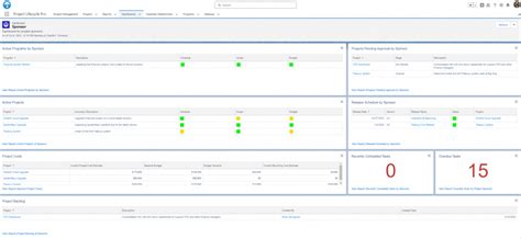 Expert Results With Salesforce Project Management App