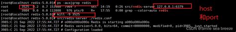 如何查看redis的host和portredis的host怎么看 Csdn博客