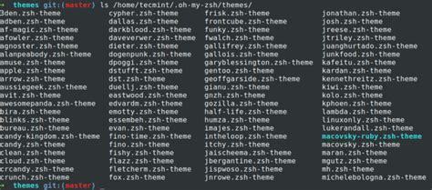 How To Install Oh My Zsh In Ubuntu