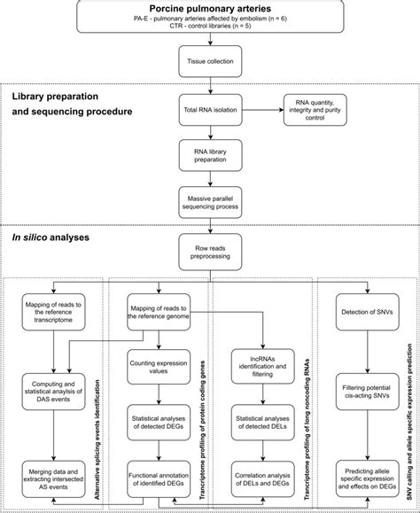 Target Enrichment Workflow Of The Experiment Assigning Step By Step