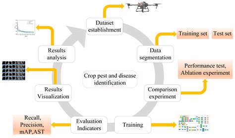 Mcd Yolov5 Accurate Real Time Crop Disease And Pest Identification