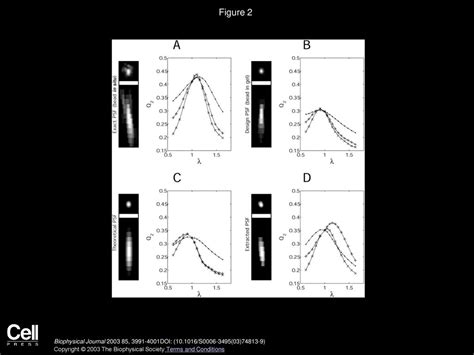 Volume 85 Issue 6 Pages December 2003 Ppt Download