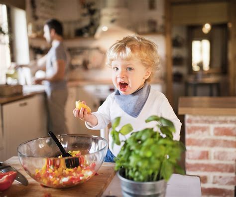 Implementatie Mini Edacs In De Nederlandse Zorgsector • Arqive