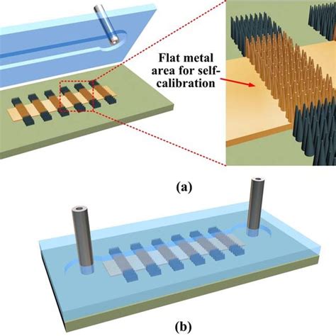 Schematic Structures Of The Microfluidic Sers Device A Details On