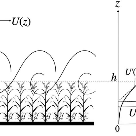 Comparison Of Approaches For Estimating The Canopy Shear Length Scale Download Scientific