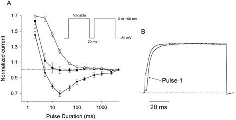 Simulated Effects Of Alterations To Closed And Open State Inactivation