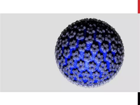 3d Modeling And Animation Pptx 3 D Graphics Computer Software And Applications