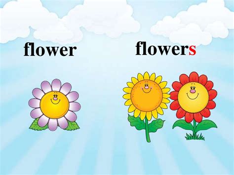 Множественное число в английском языке презентация онлайн